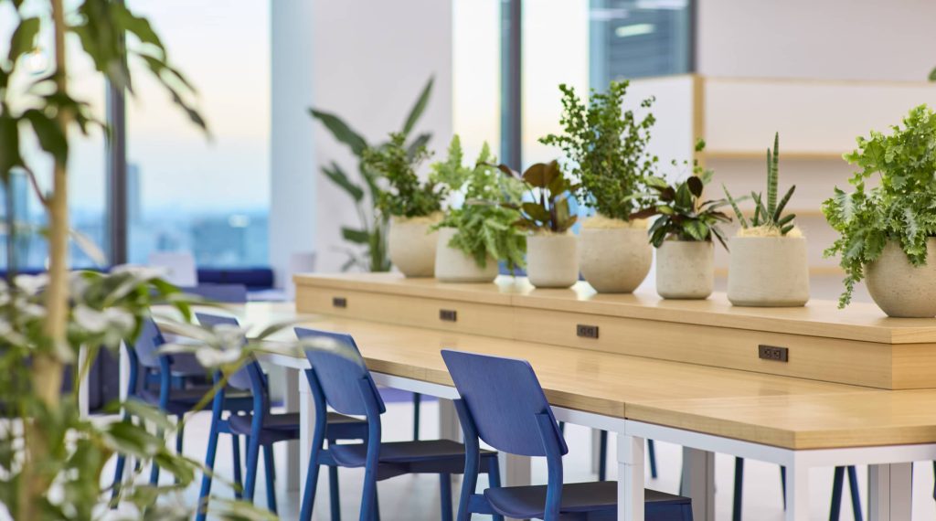 ケアリッツ・テクノロジーズ｜CareRitz Technologies